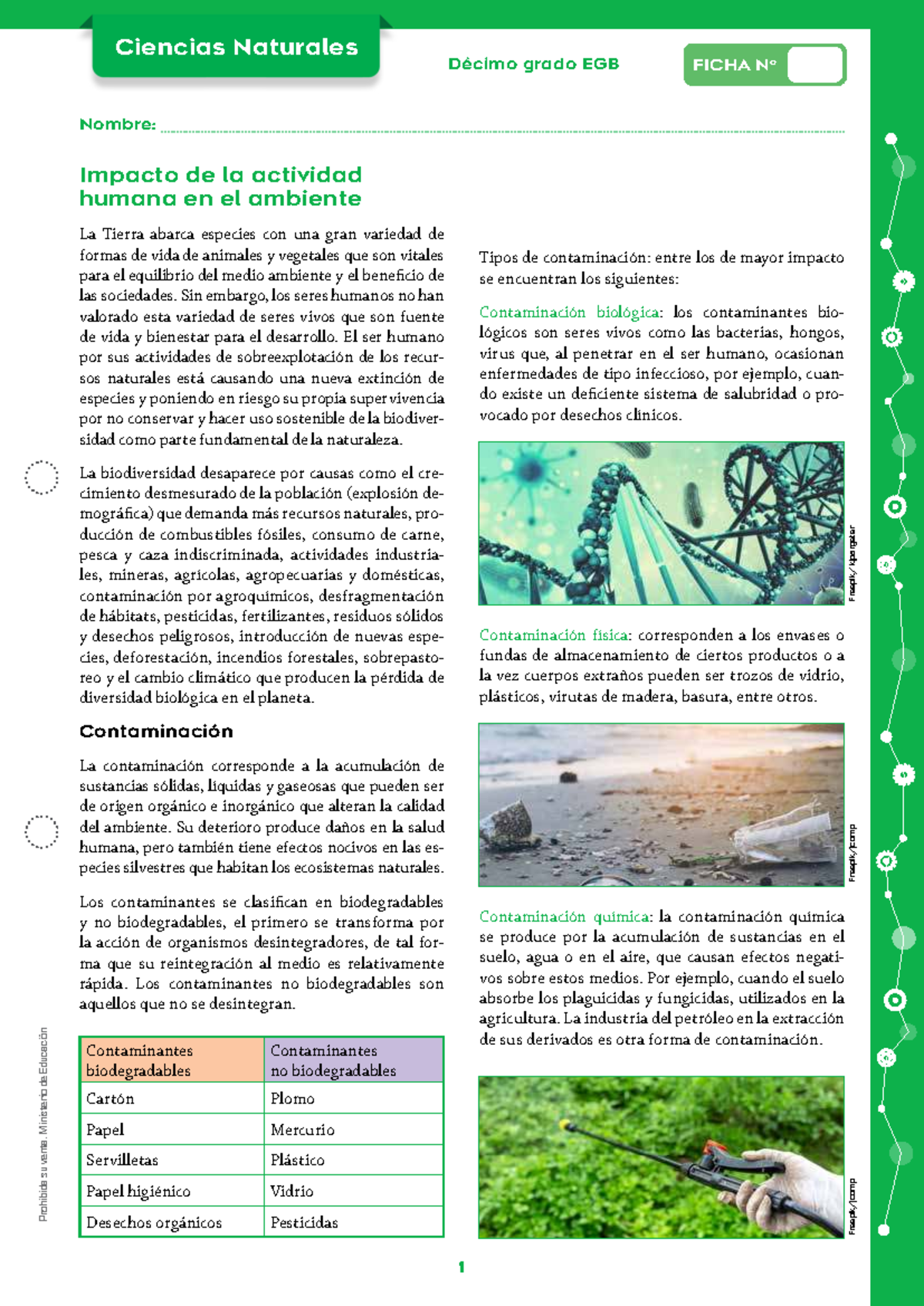 Ciencias Naturales 10EGB Ficha: Impacto Humano en el Ambiente - Studocu
