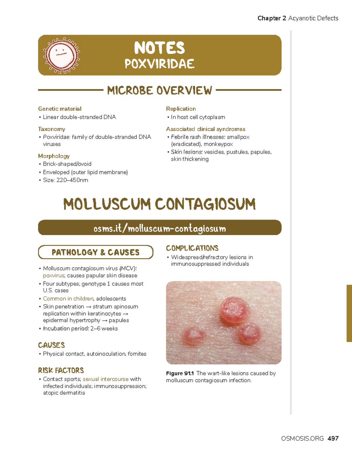 Poxviridae Microbiology: Overview of Molluscum Contagiosum (Chapter 2 ...