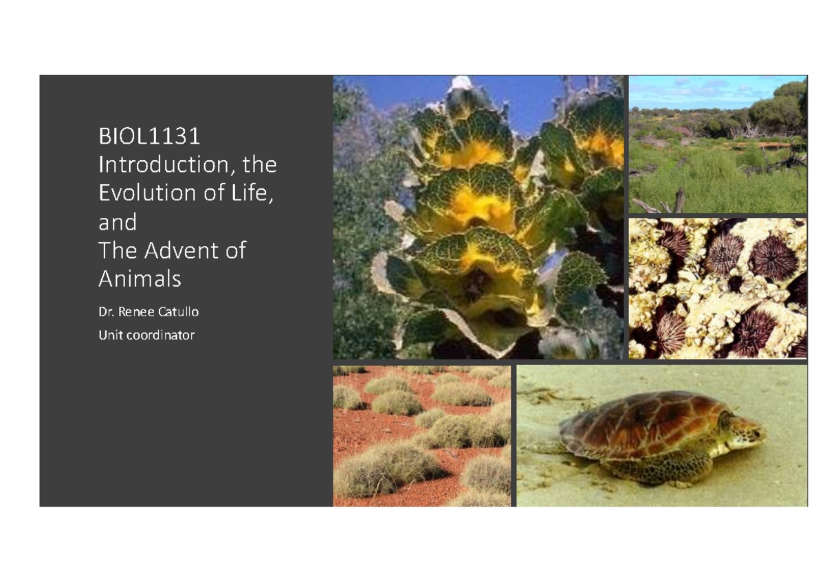BIOL1131 Lecture Notes: Evolution of Life & Animal Taxonomy - Studocu