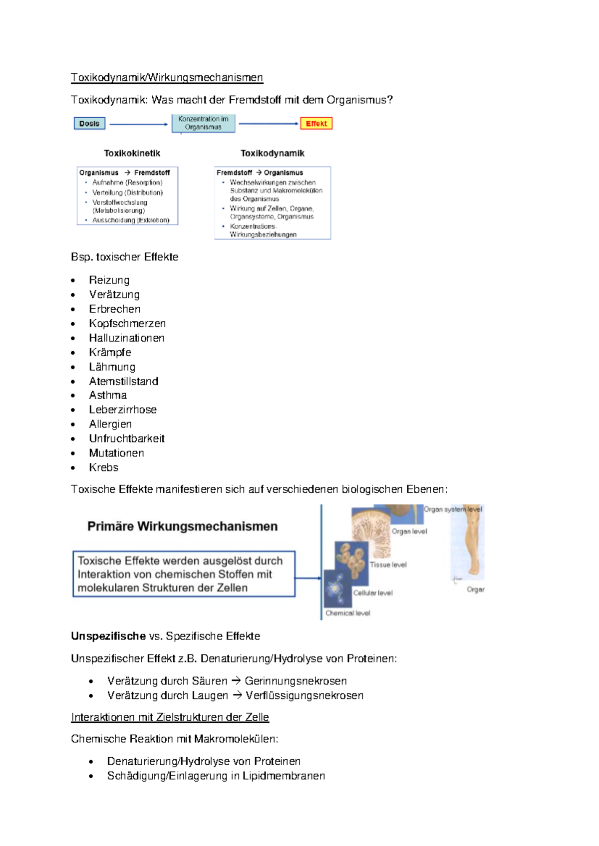 Toxikodynamik Wirkungsmechanismen - Toxikodynamik/Wirkungsmechanismen ...