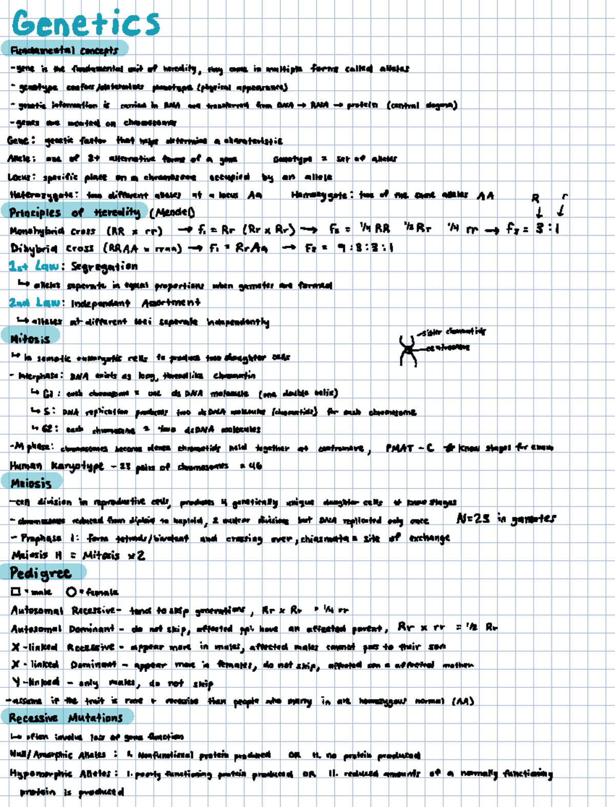 Genetics 101 - Fundamental Concepts and Heredity Notes - Studocu