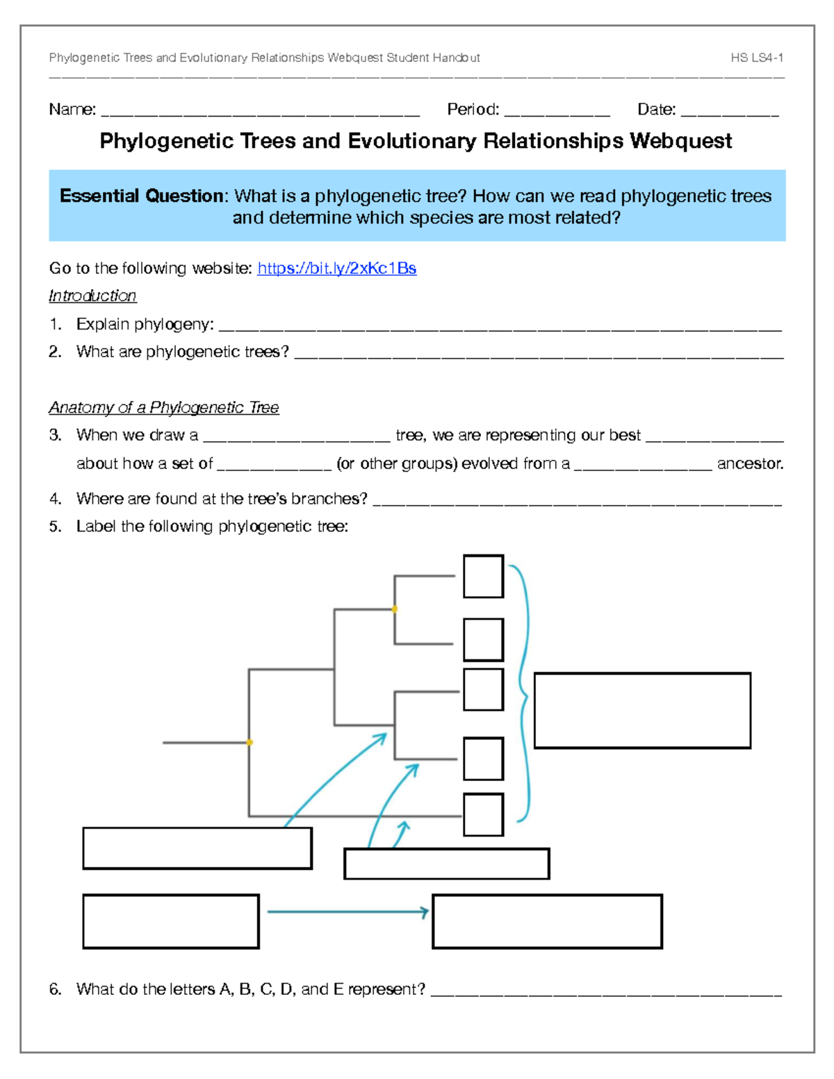 Phylogenetic Trees & Evolutionary Relationships Webquest HS Handout ...