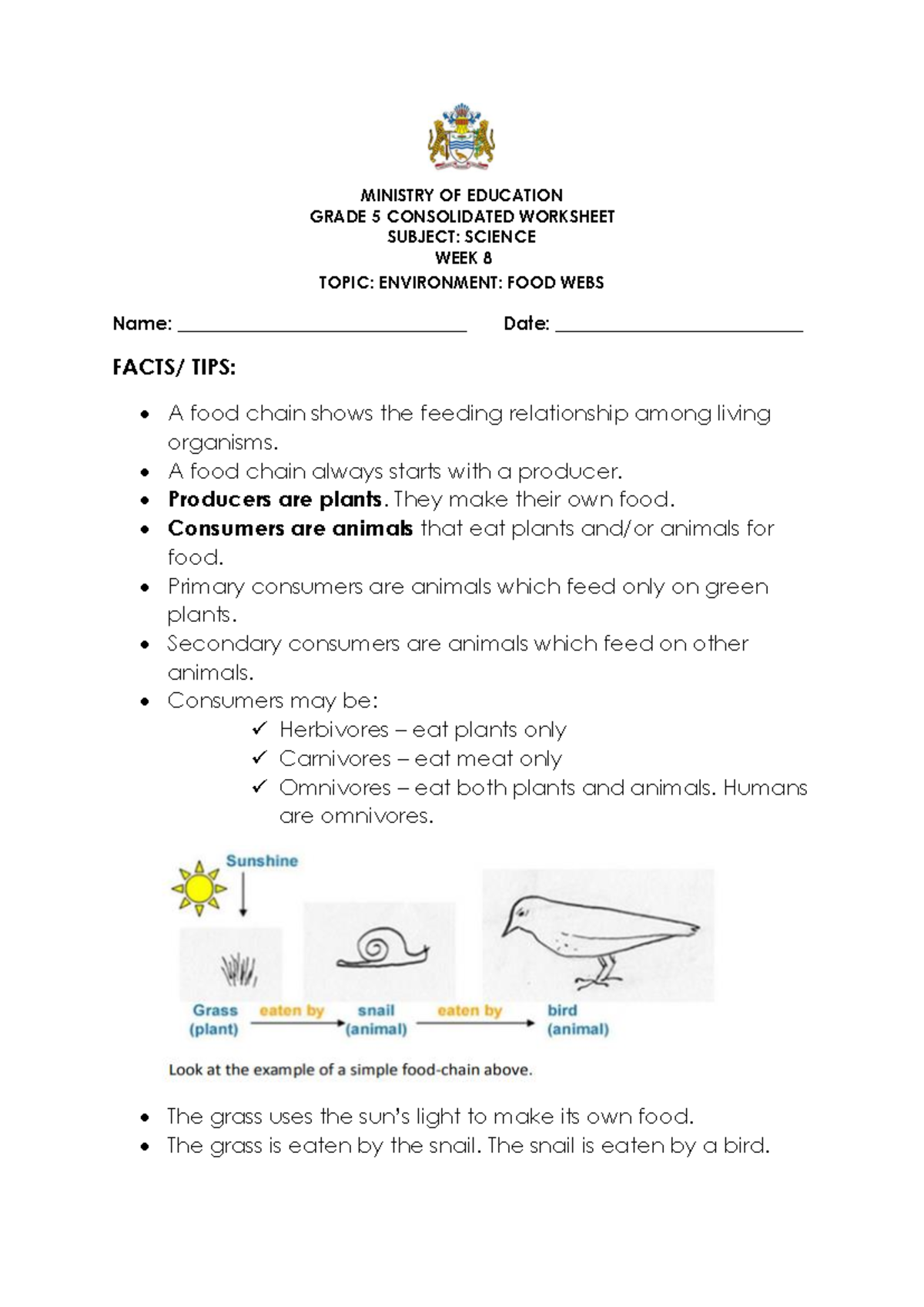 Grade 5 Science Week 8 - 2022: Food Webs & Soil Types Worksheet - Studocu