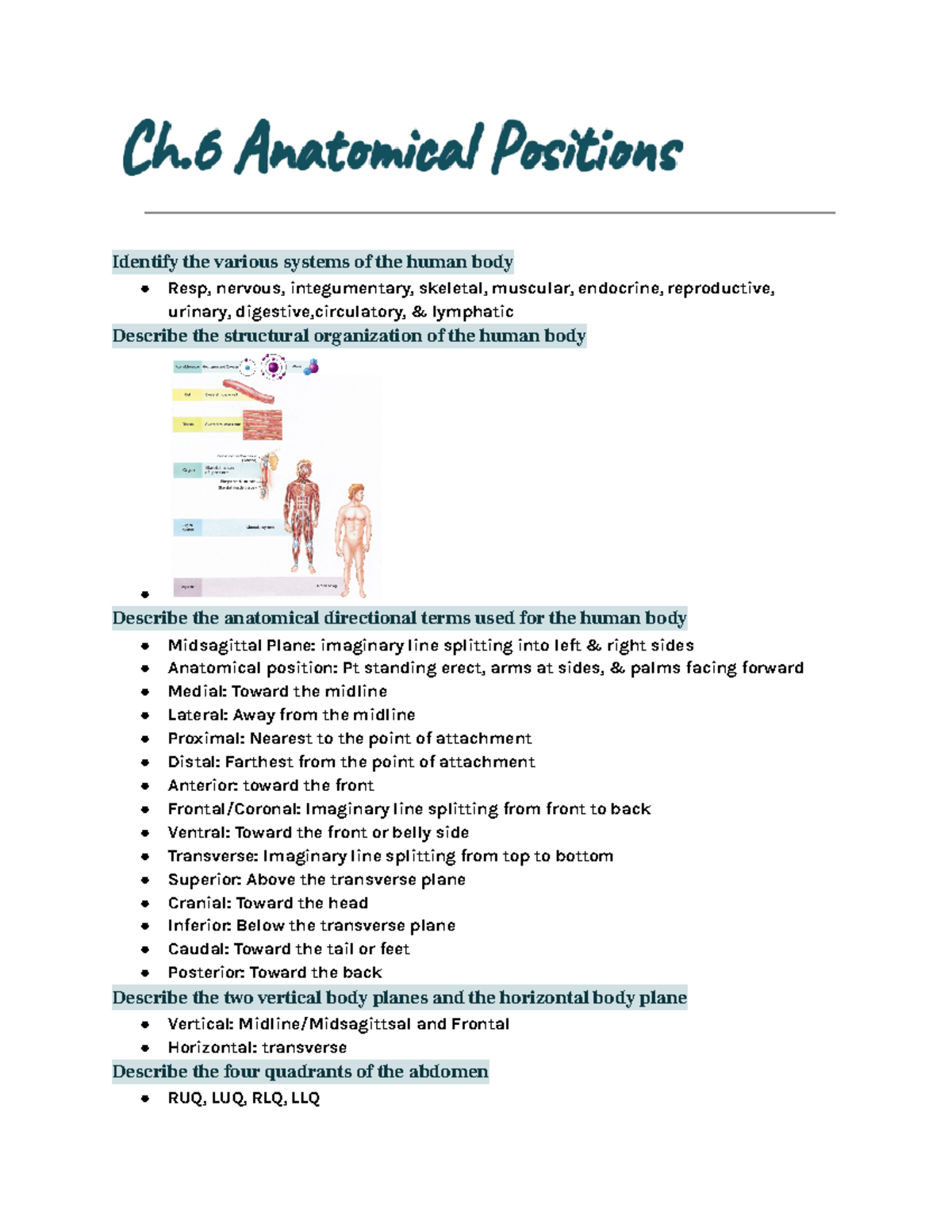 Ch.6 Anatomical Positions - Identify the various systems of the human ...