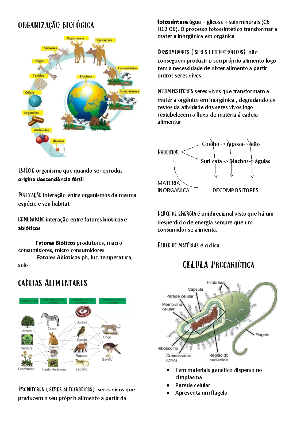 Resumo de Glícidos: Estrutura e Funções dos Carboidratos - Studocu