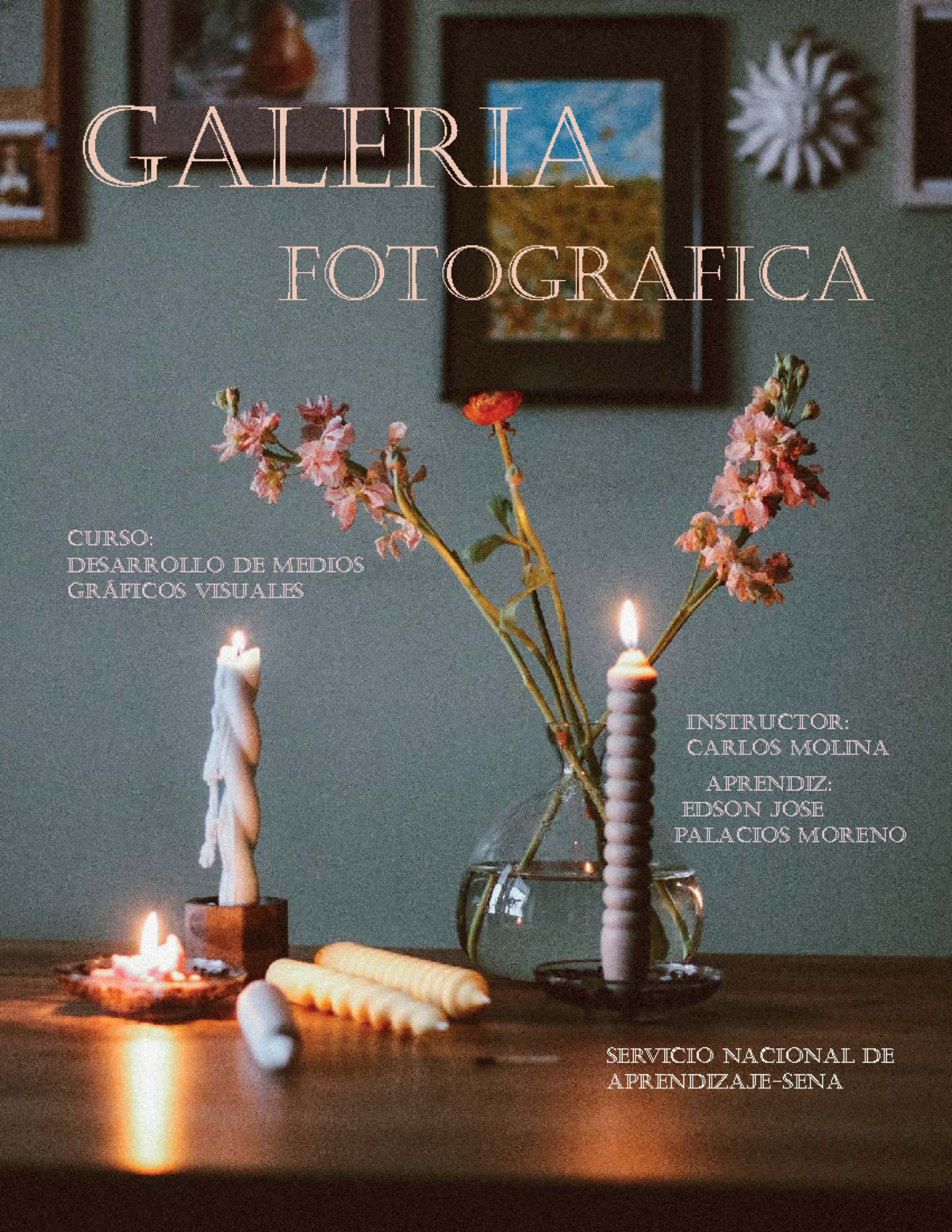Galería Fotográfica: Desarrollo de Medios Gráficos Visuales - Studocu