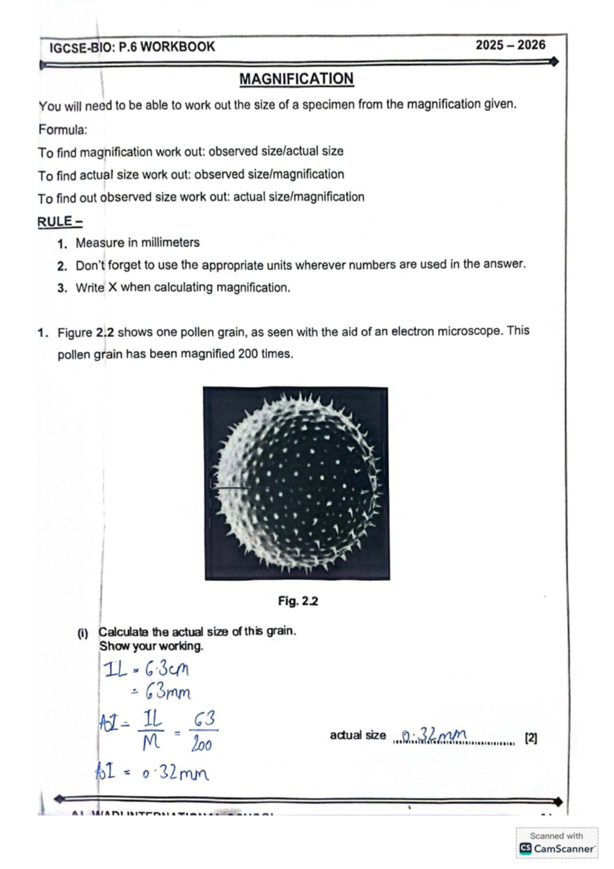 P.6 WORKBOOK 2025-2026: Understanding Magnification in Biology - Studocu