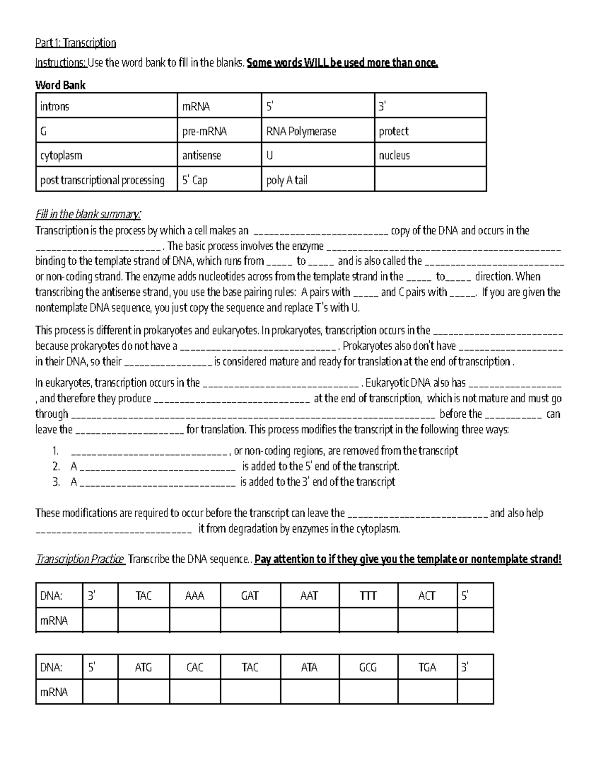 Protein Synthesis Worksheet: Transcription Instructions & Practice ...