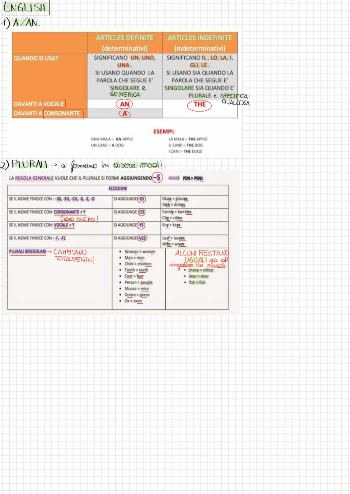 ENGLISH 1: DEFINITE & INDEFINITE ARTICLES, PLURALS, ADJECTIVES & MORE ...