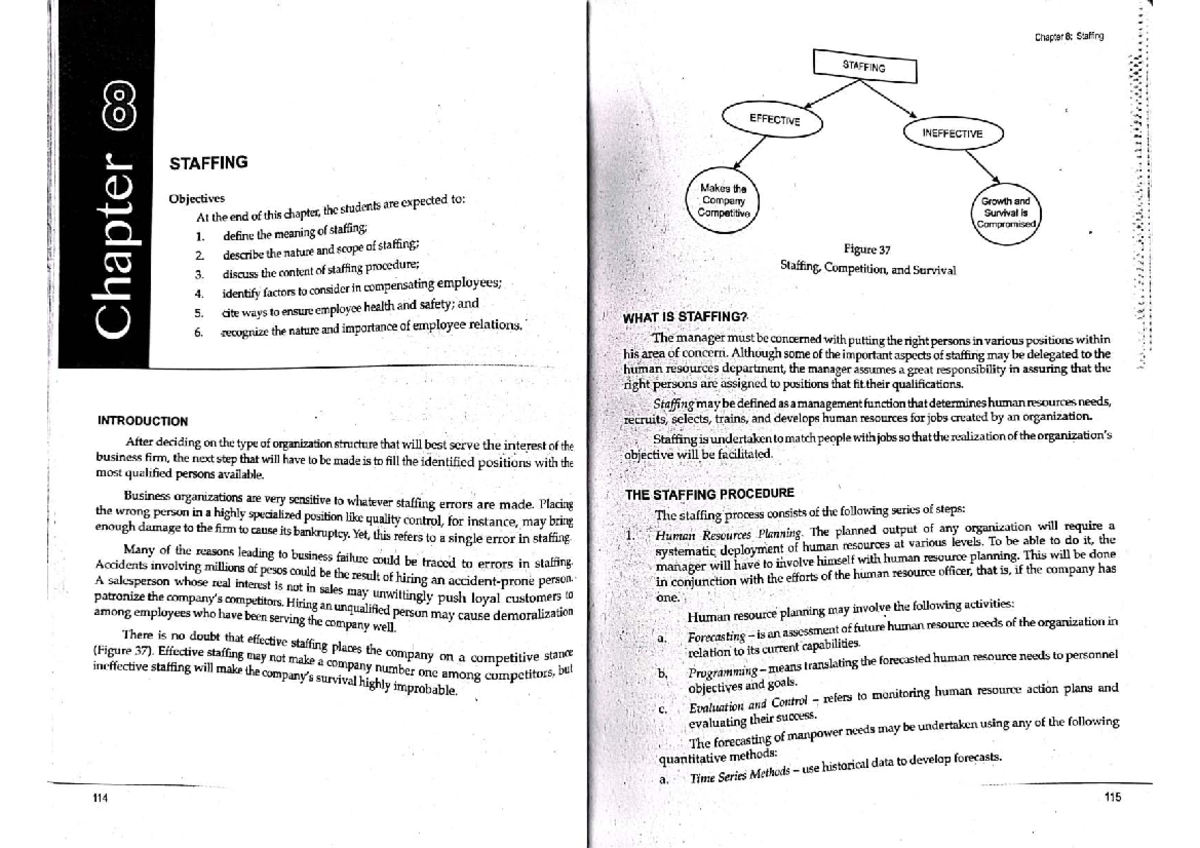 Chapter 8: Staffing Strategies for Effective Organizational Management ...