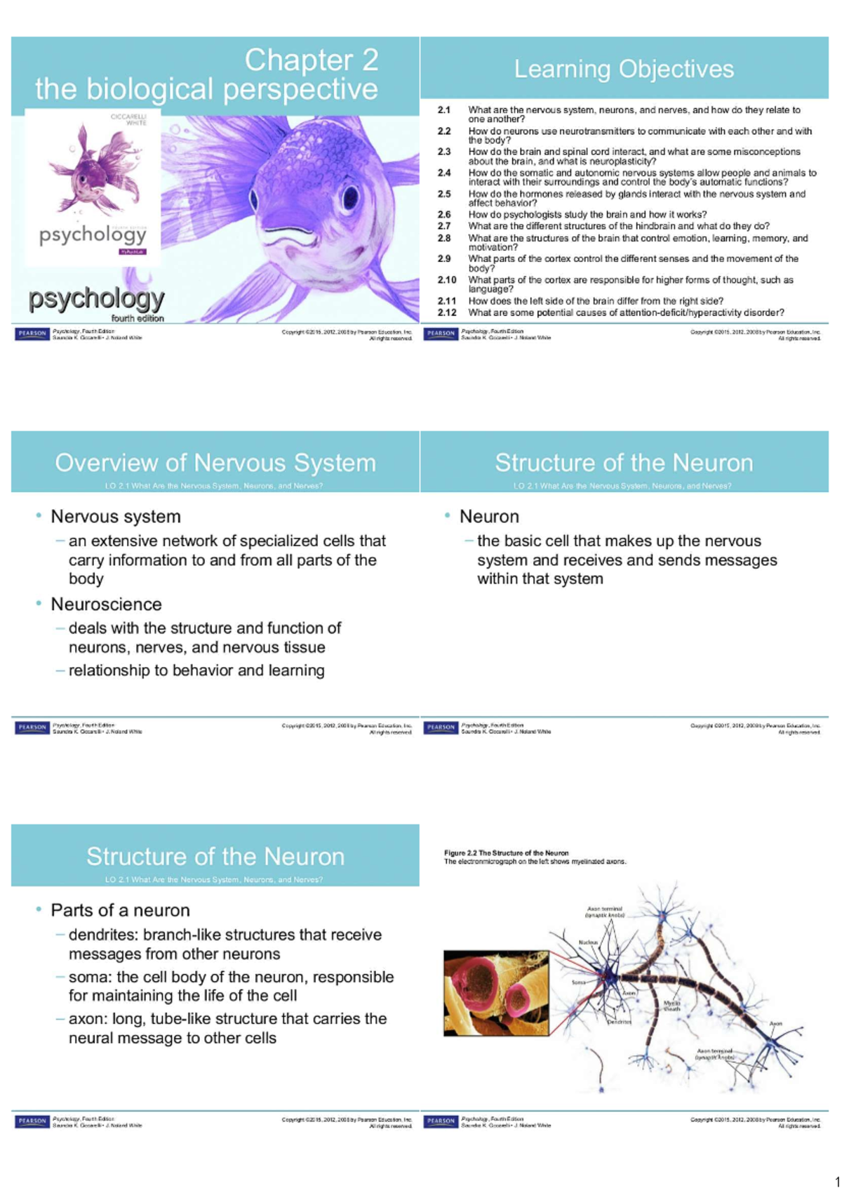 CICCARELLI & WHITE PSY 2: Chapter 2 Learning Objectives on the Nervous System - Studocu