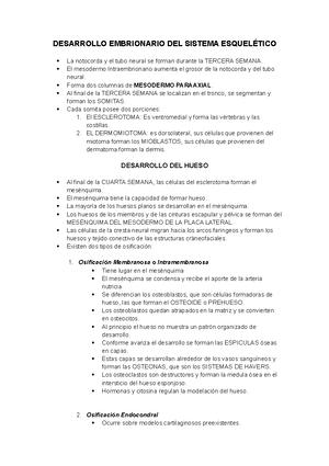 Estudio sobre Amelia y Meromelia en Embriología 1 (MED-2024) - Studocu