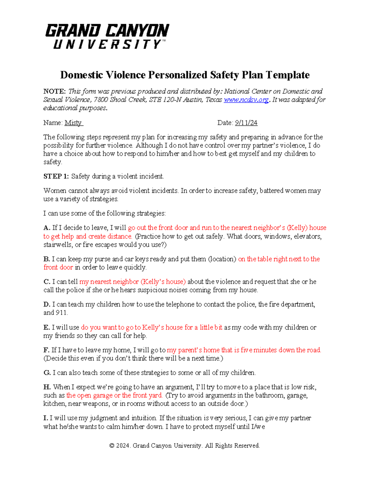 Domestic Violence Safety PLAN Template - Personalized Strategies - Studocu