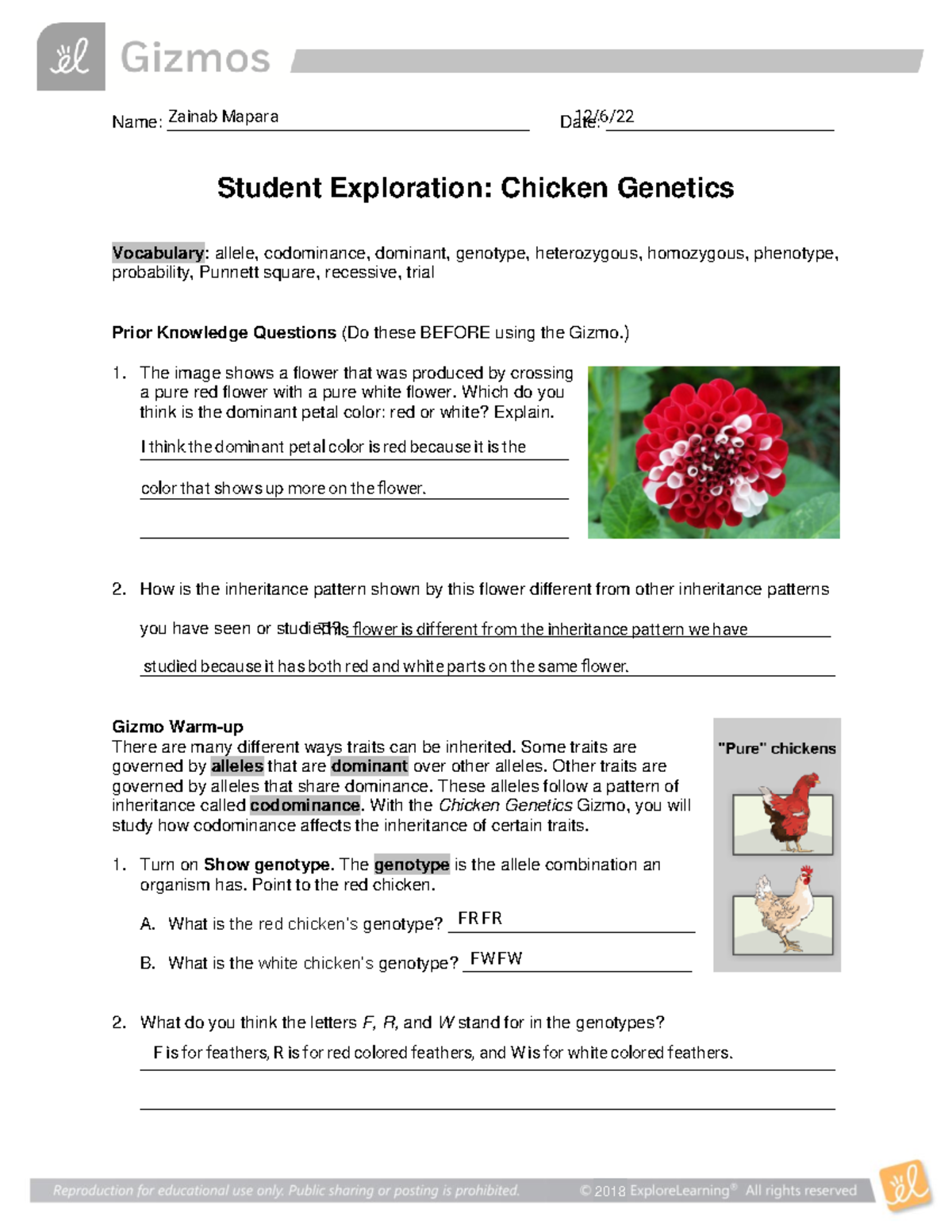 Kami Export - Chicken Genetics SE - Name: ______________________________________ Date: - Studocu