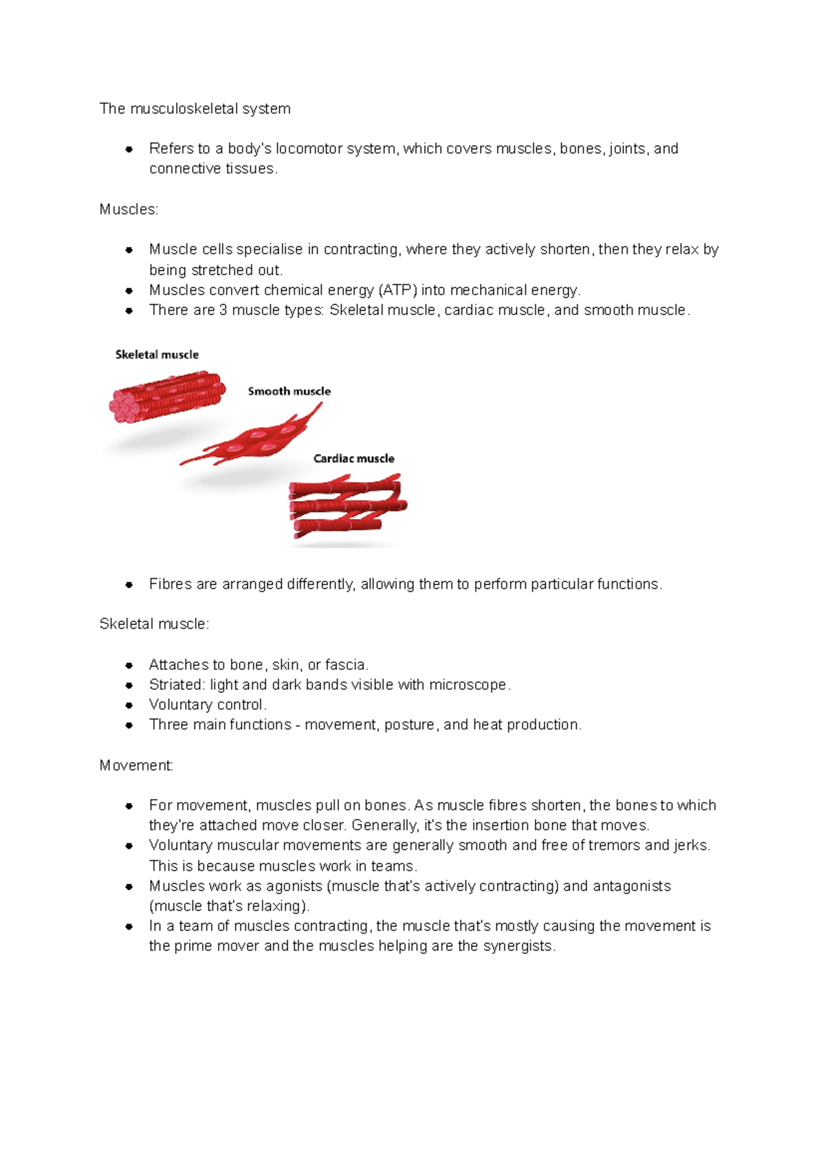 Muscoskeletal system - The musculoskeletal system Refers to a body’s ...