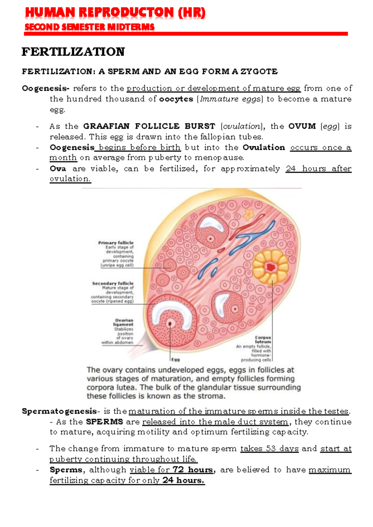 Human Reproduction (HR) Second Semester Midterms: Fertilization ...