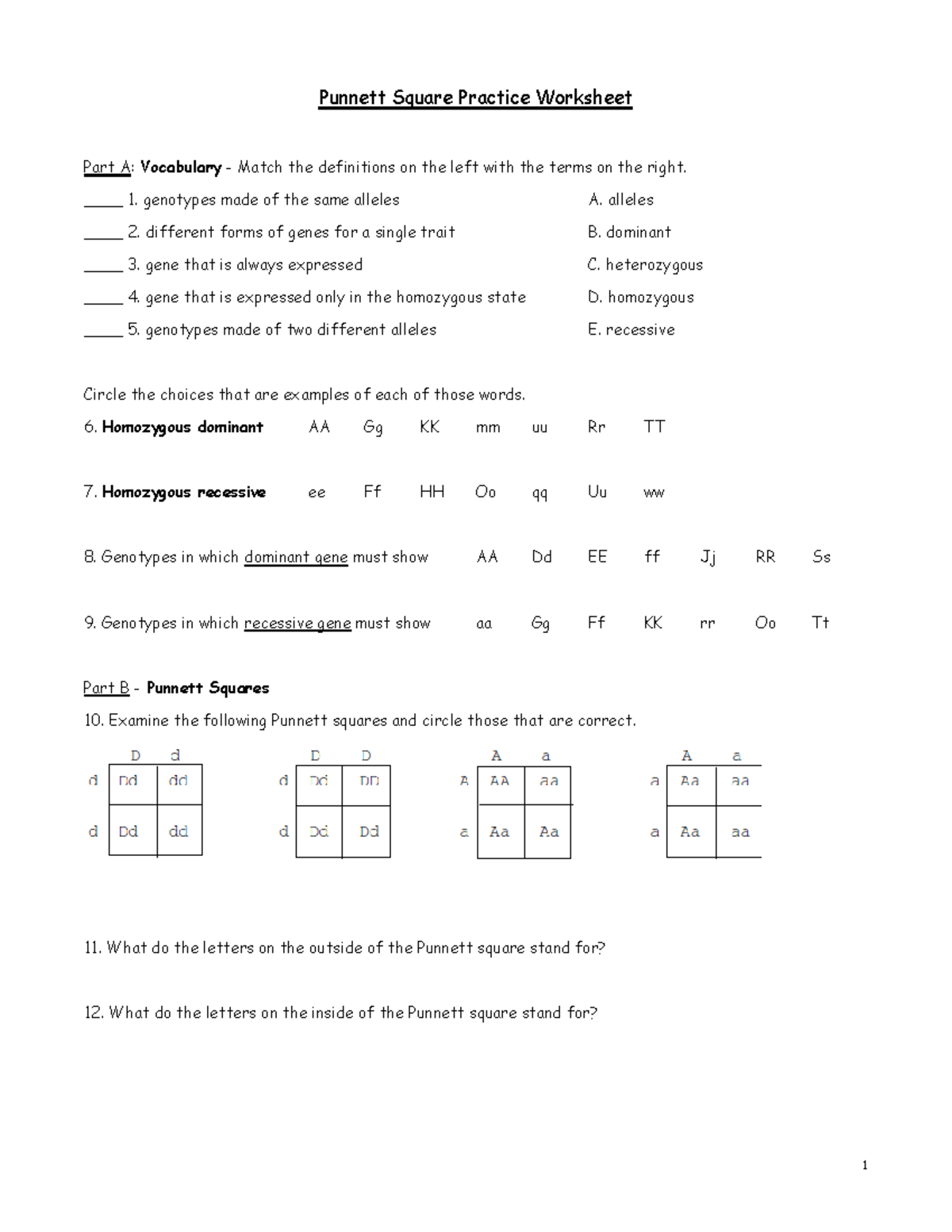 Punnett Square Practice Worksheet: Vocabulary & Problems - Studocu