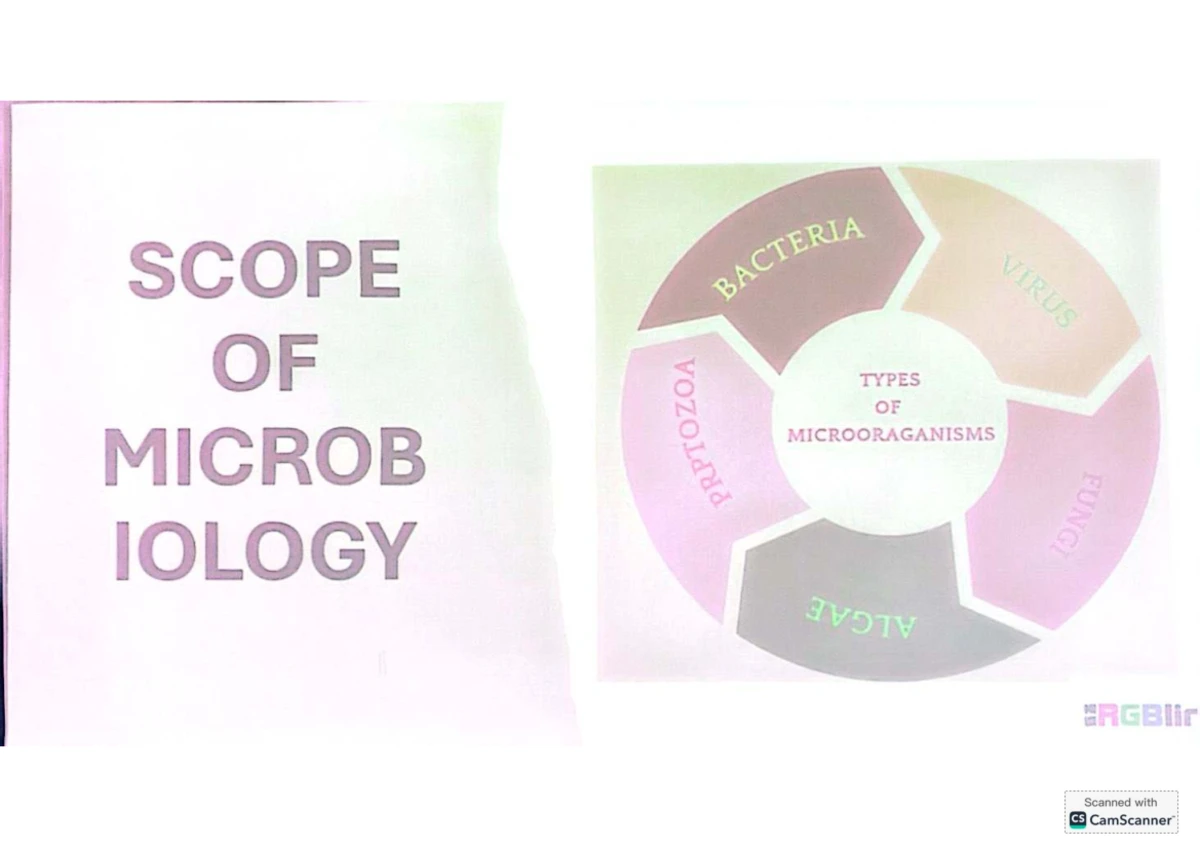 BMV202 Medical Microbiology Jan 2019 Re-Exam Paper Analysis - Studocu