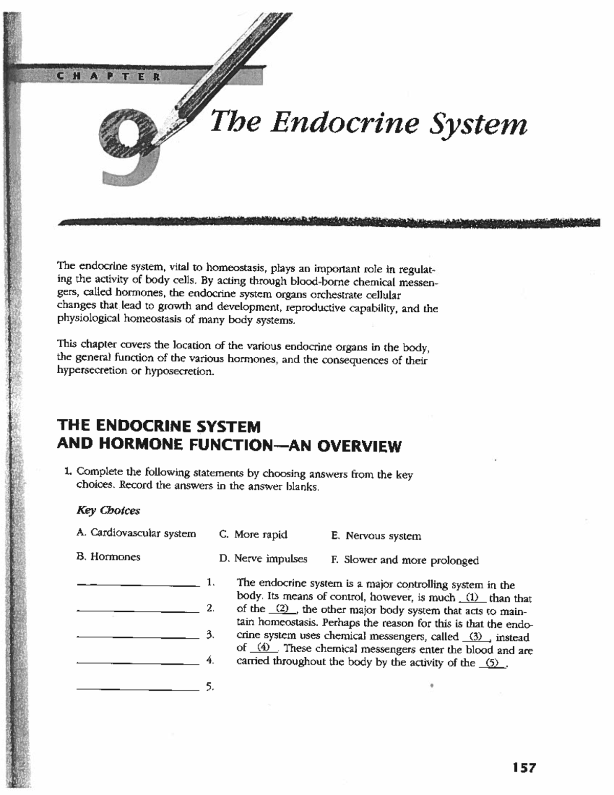 Endocrine System Overview: Key Concepts and Hormone Functions - Studocu