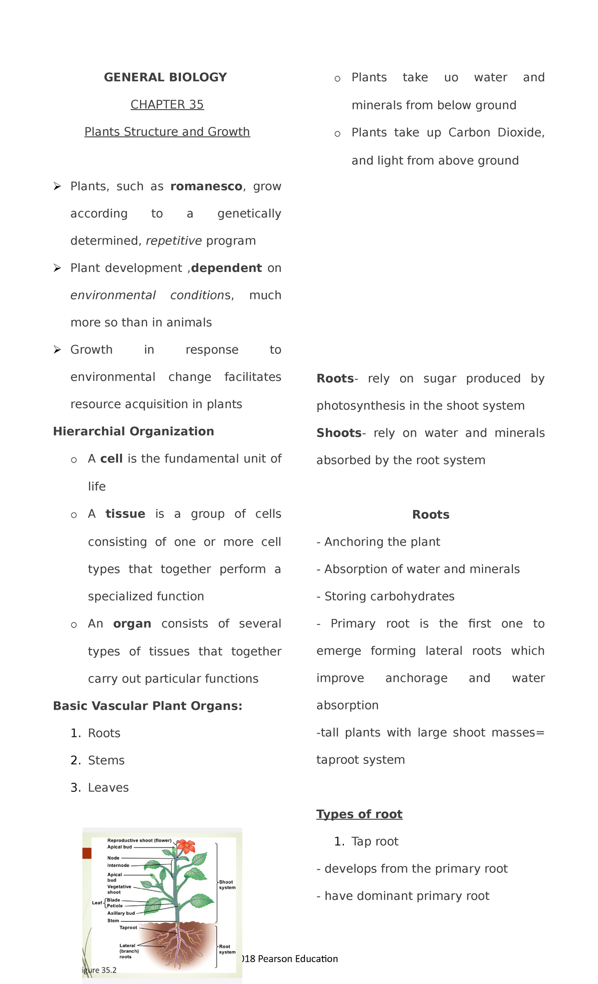 General Biology CH35: Plant Structure, Growth, and Nutrition - Studocu