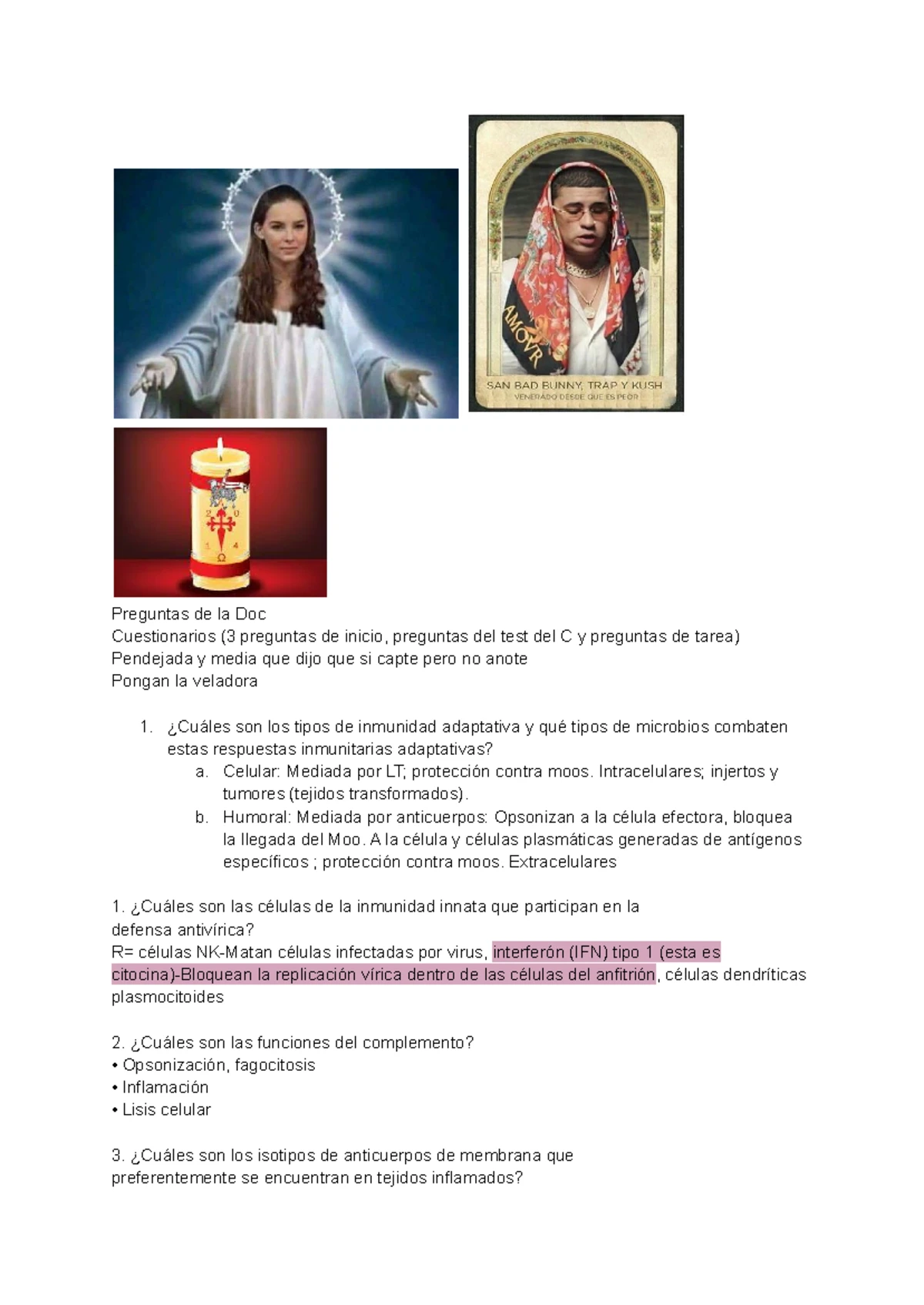 Inmunoglobulina G: Estructura, Funciones y Respuesta Inmunitaria - Studocu