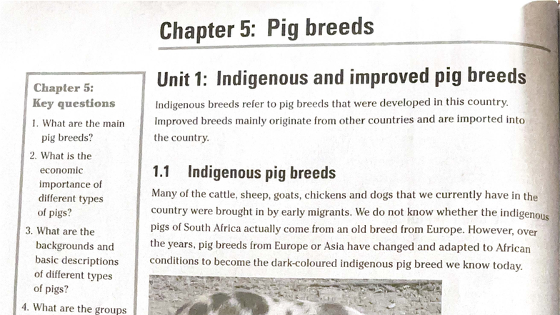Animal Studies: Chapter 5 - Indigenous and Improved Pig Breeds (Course Code: 3 - Studocu