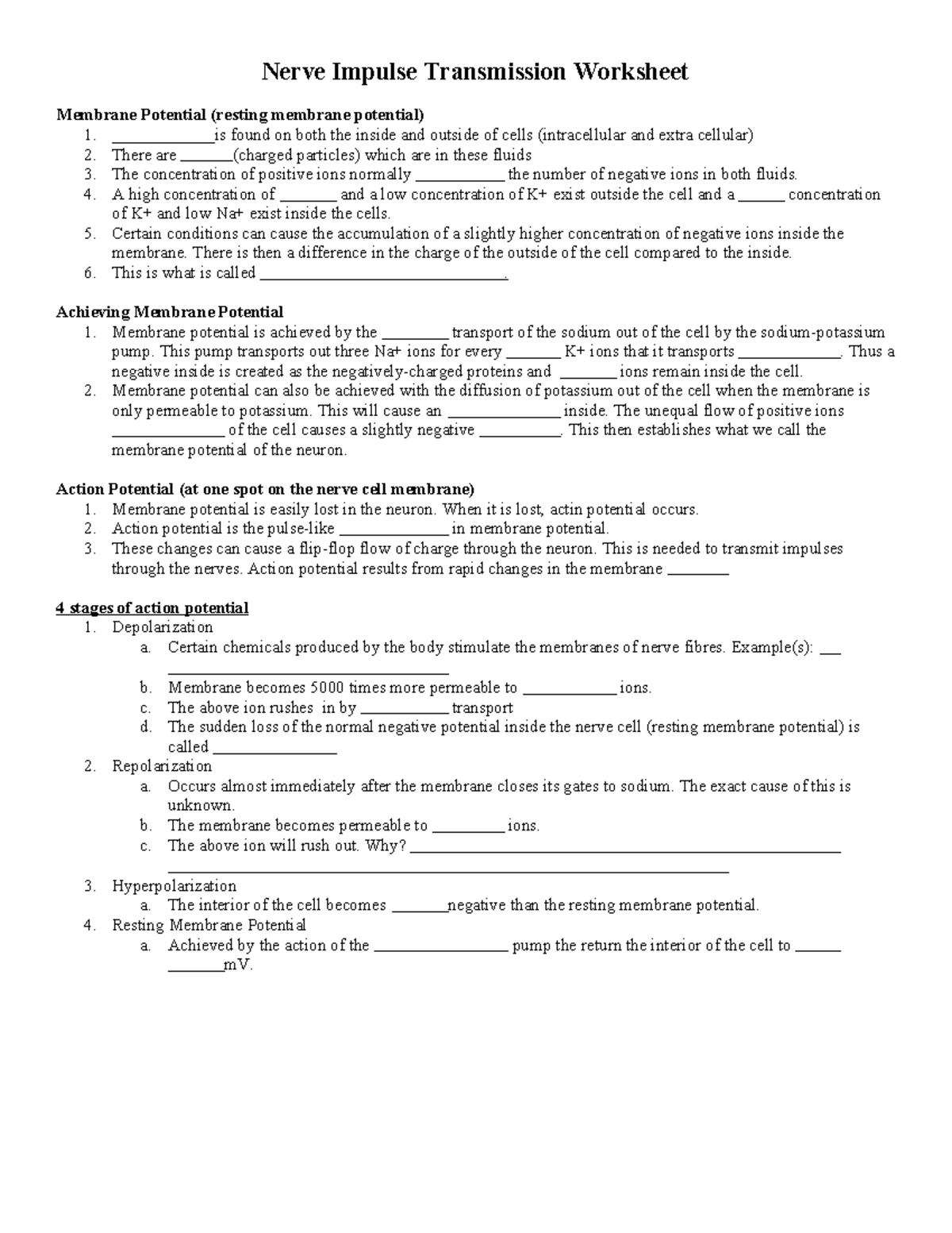 Nerve Impulse Action Potential Worksheet & Answer Key for Physiology ...