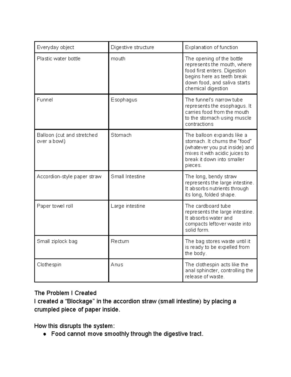 Digestive System Model Using Everyday Objects - MY WORK MAN - Studocu