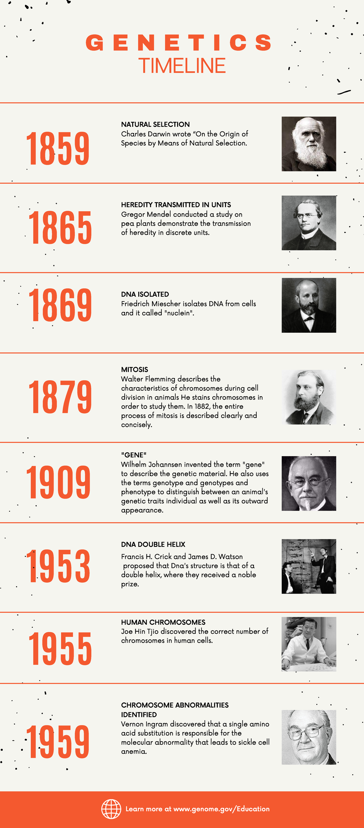 Genetics Timeline: Key Milestones from 1859 to 2003 - Studocu