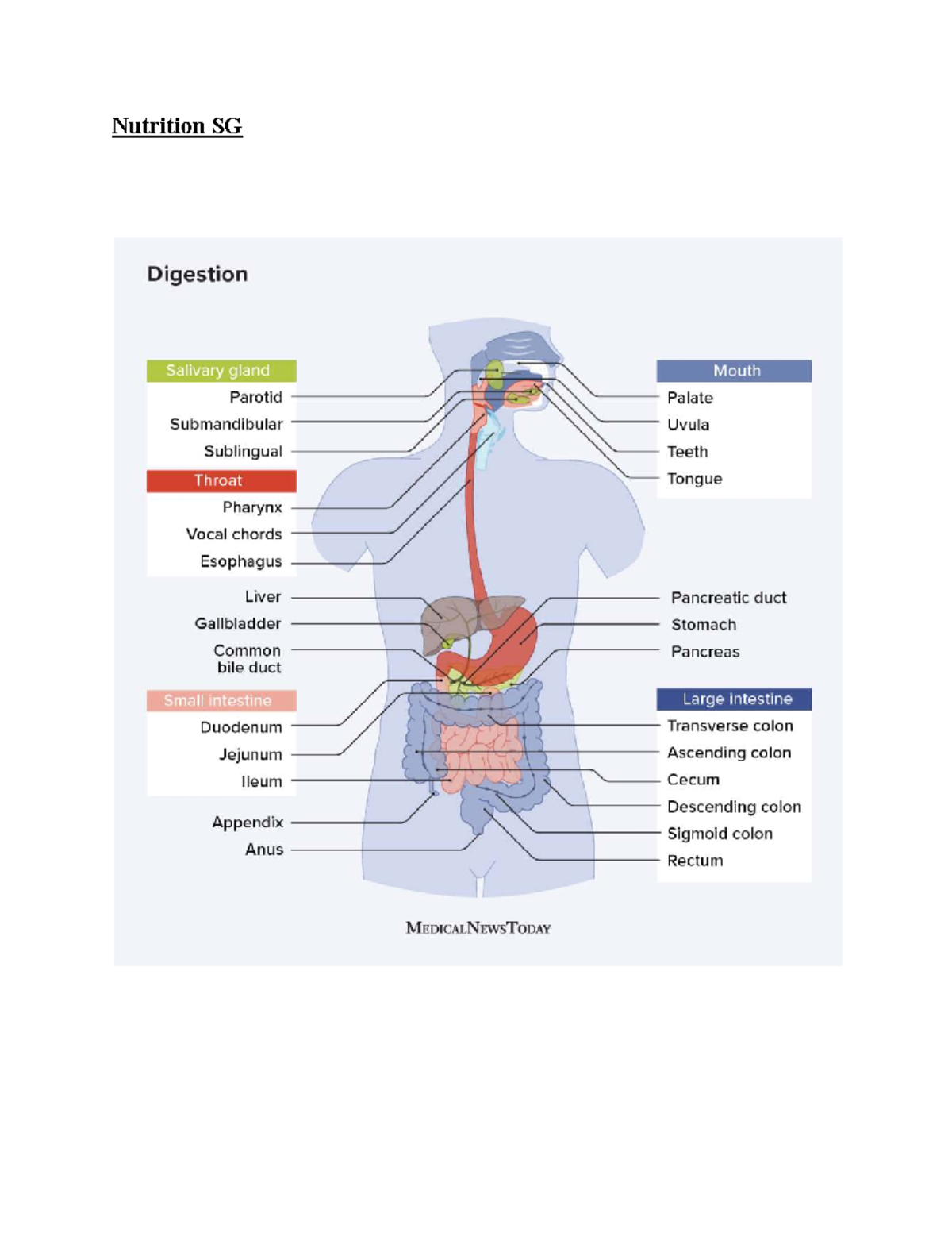 NDFS 100: Comprehensive Final Exam Study Guide Tips - Studocu