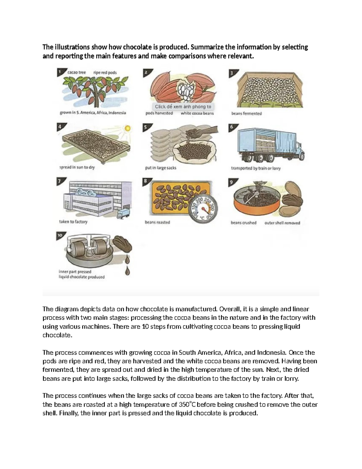 THE Process of Chocolate Production Diagram - Studocu
