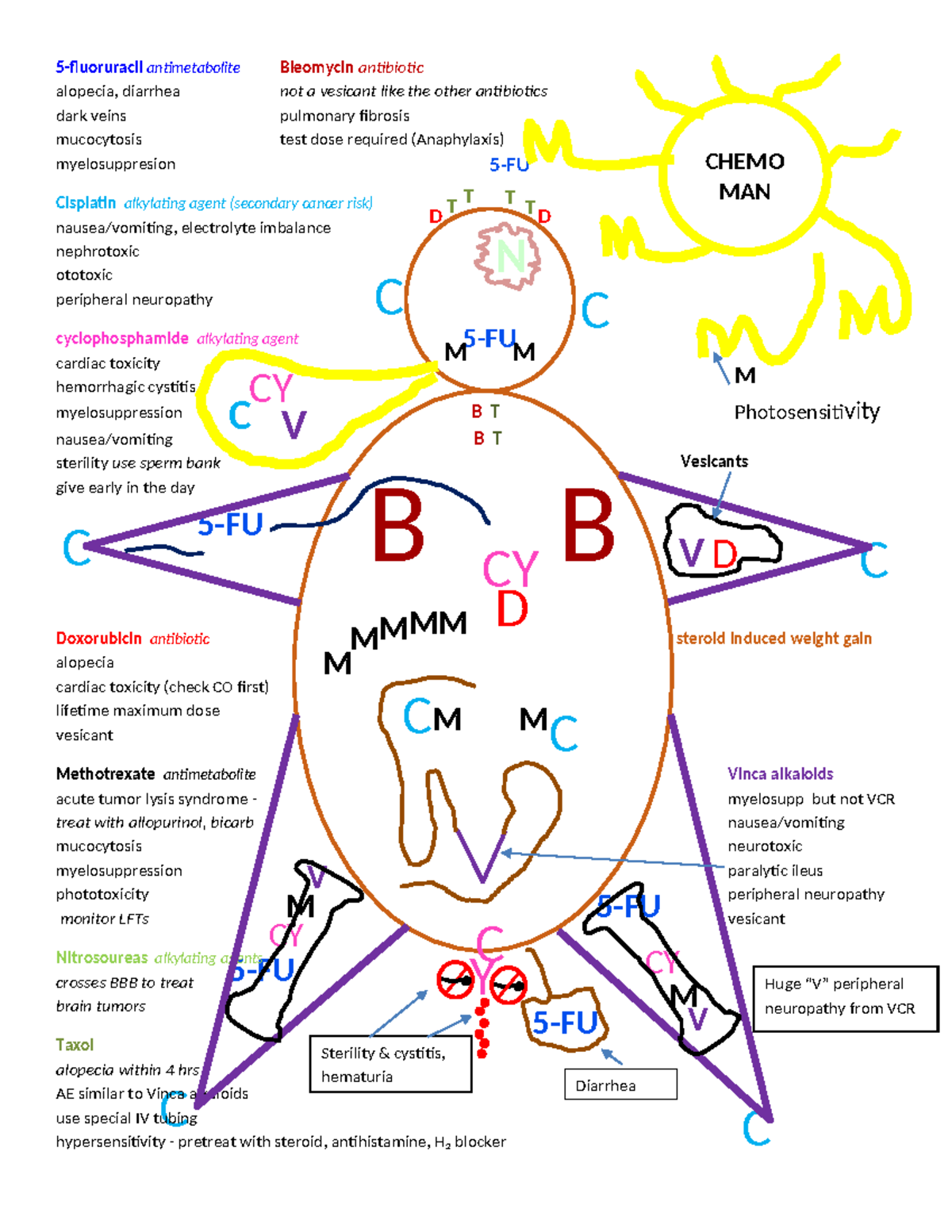 Chemo Drugs Overview: Antimetabolites, Alkylating Agents, and ...