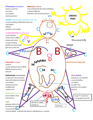 NR293 Pharmacology Active Learning Activity: Concept Map Guidelines ...