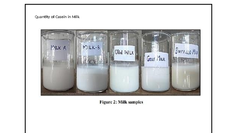 Casein Content Analysis in Milk - Class 12 Project Report - Studocu