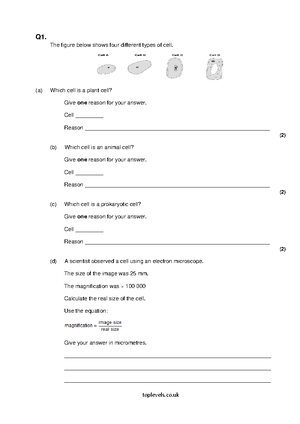 Measurement Formula Sheet-MFM1P1 - MEASUREMENT FORMULA SHEET ...