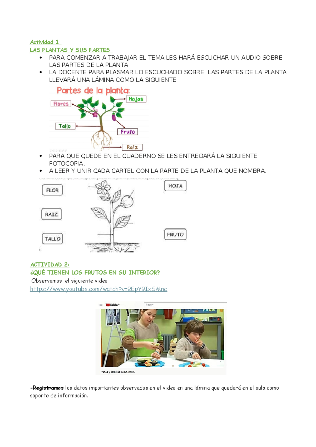 Frutos y Semillas: Actividades de Aprendizaje para 1° Grado - Studocu