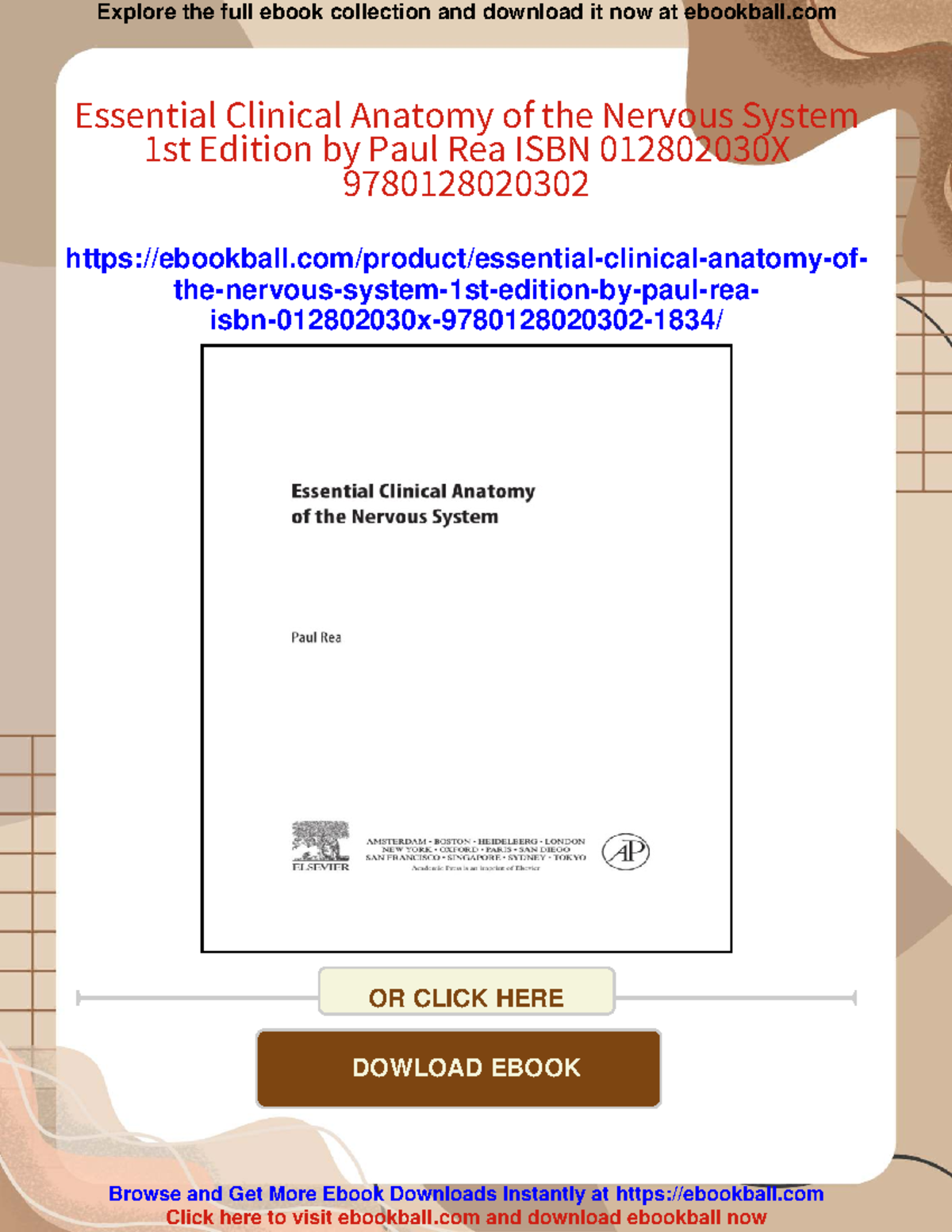 Essential clinical anatomy of the nervous system: A comprehensive guide ...