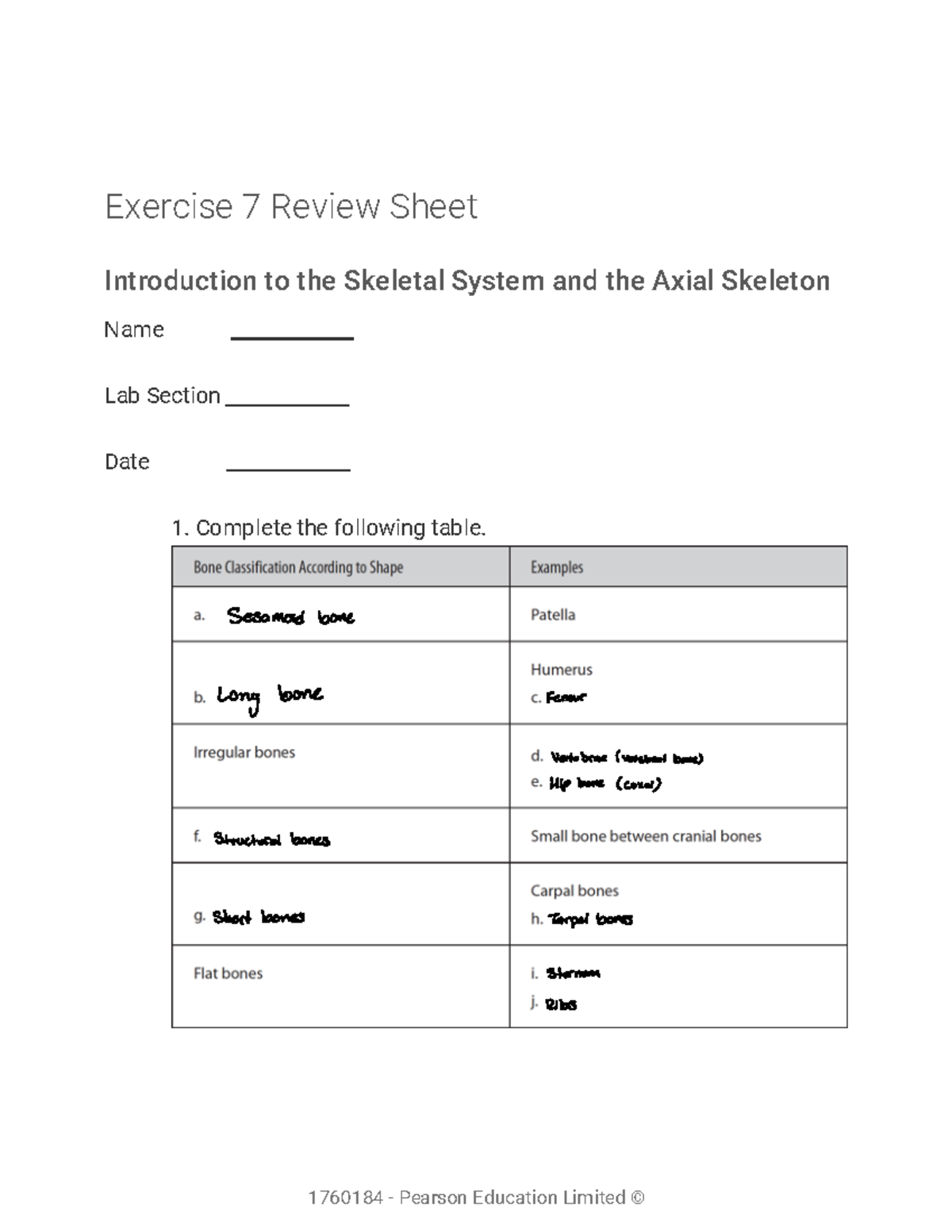 Lab. 7 - Skeletal System & Axial Skeleton Review Sheet - Studocu