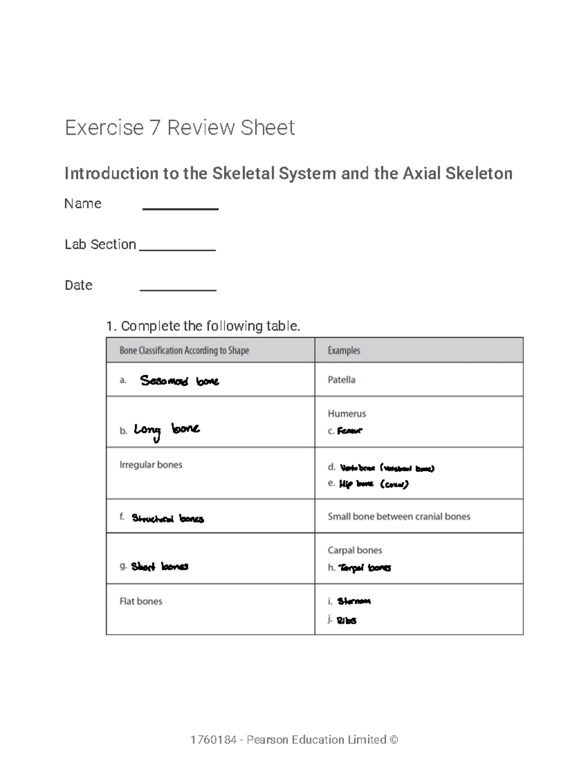 Lab 12 - completed lab assignment - Exercise 12 Review Sheet Muscles of ...