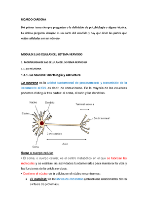 [Solved] Si quisieras reducir la excitabilidad de la neurona ...