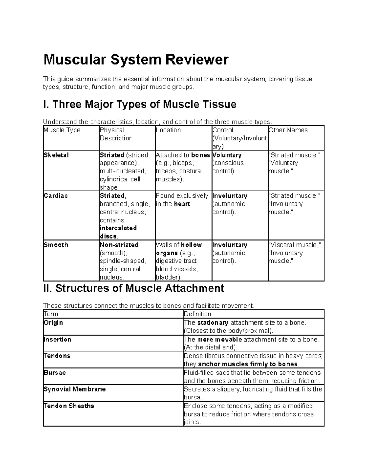 Muscular System Review Guide: Key Concepts and Muscle Types - Studocu