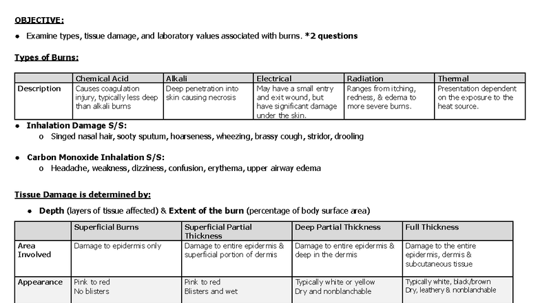 Burns Study Guide SP24: Types, Damage, and Nursing Interventions - Studocu