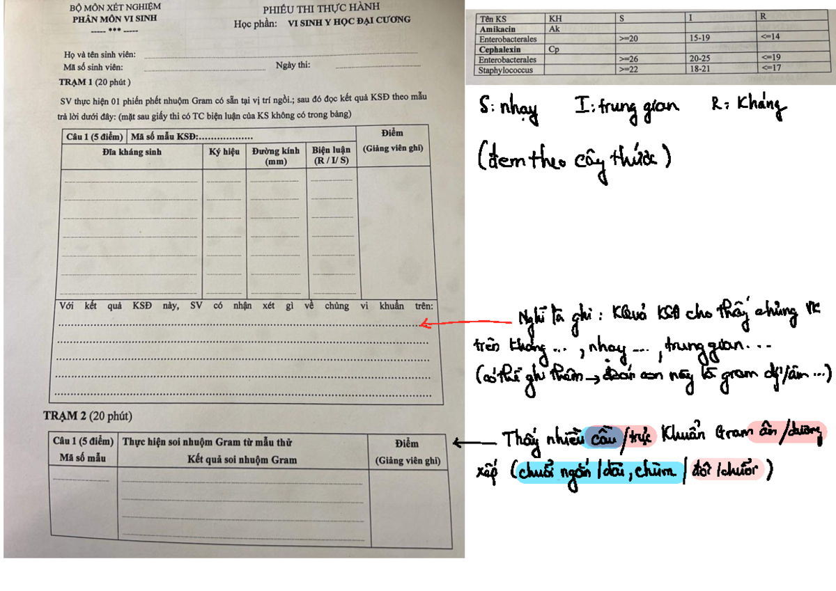 Đề Thi Thực Hành Giữa Kỳ Vi Sinh - Mã Bài Thi - Studocu