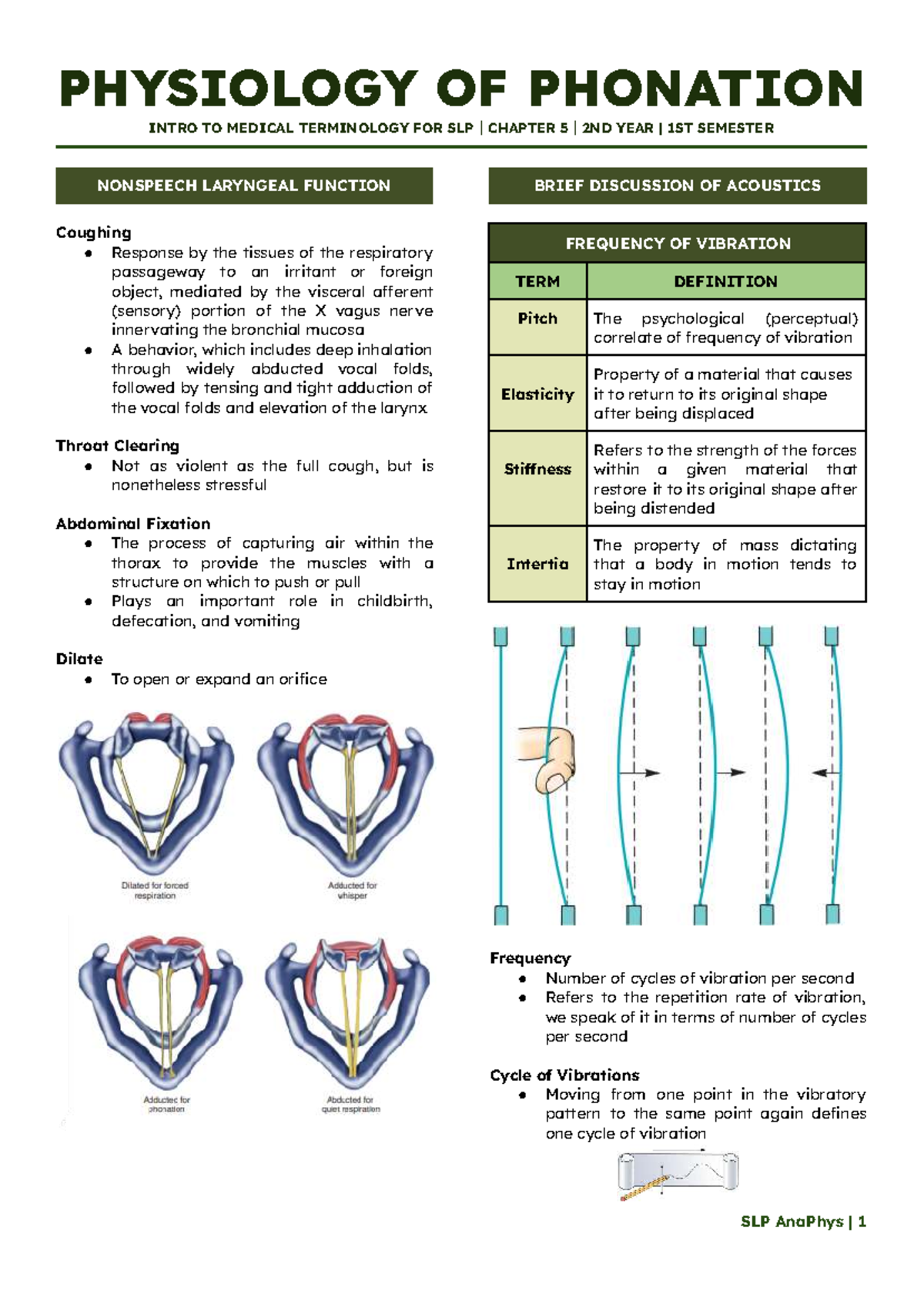 SLP AnaPhys 1-11: Comprehensive Notes on Phonation and Laryngeal ...