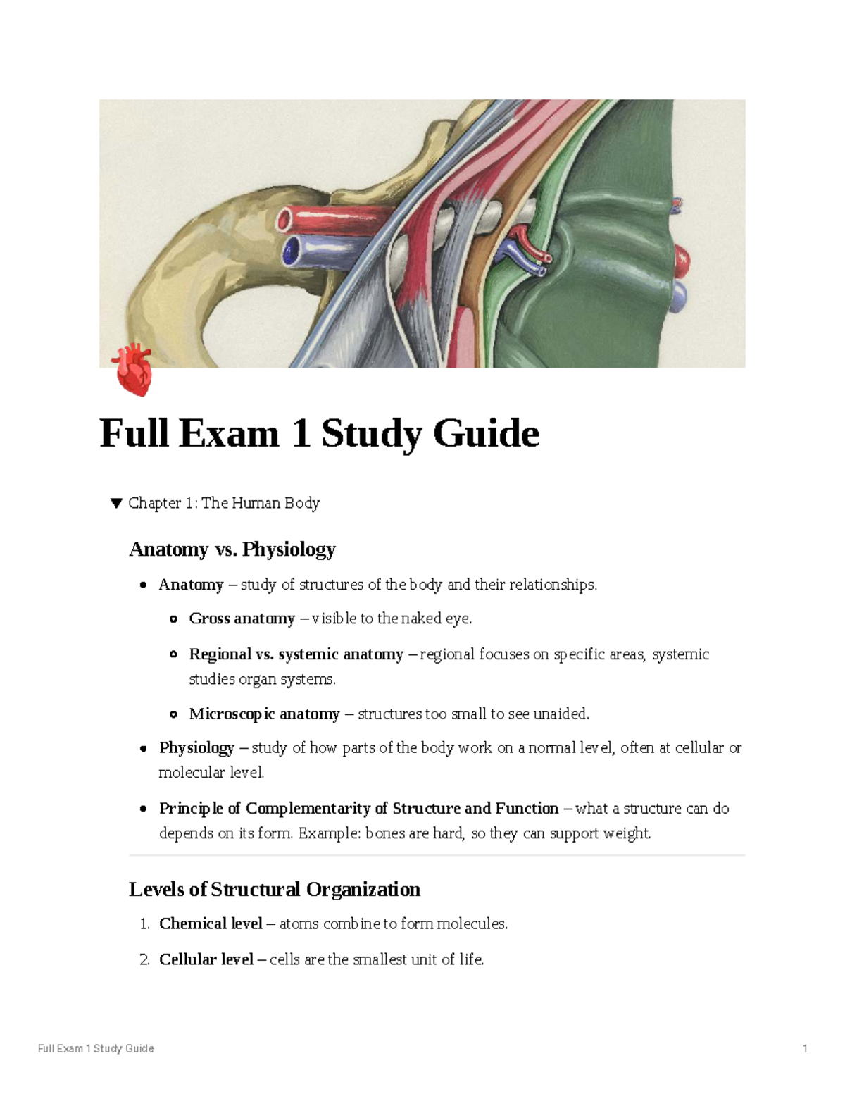 Full Exam 1 Study Guide: Anatomy & Physiology Overview - Studocu