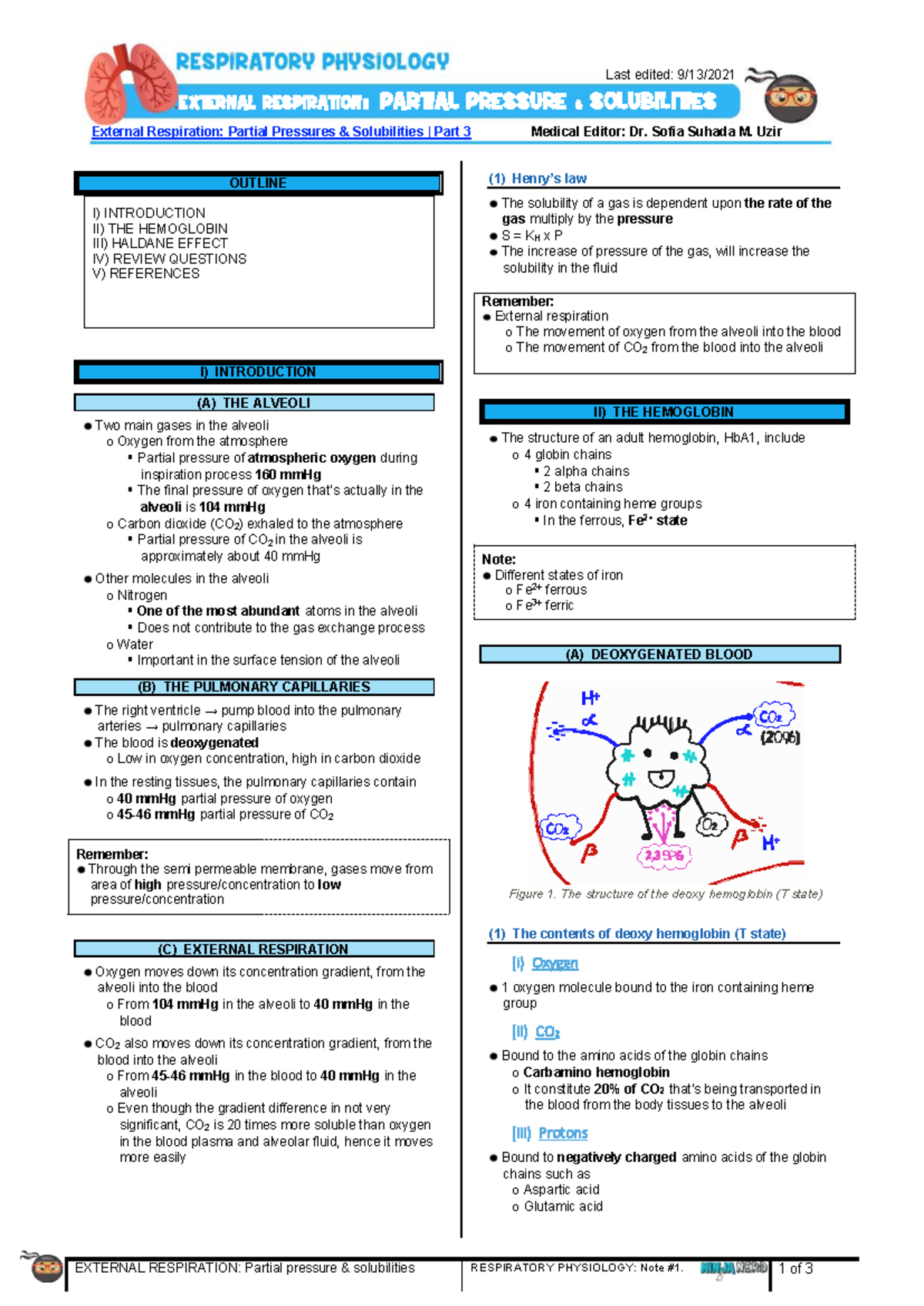 11. External Respiration: Partial Pressure Solubilities Overview - Studocu