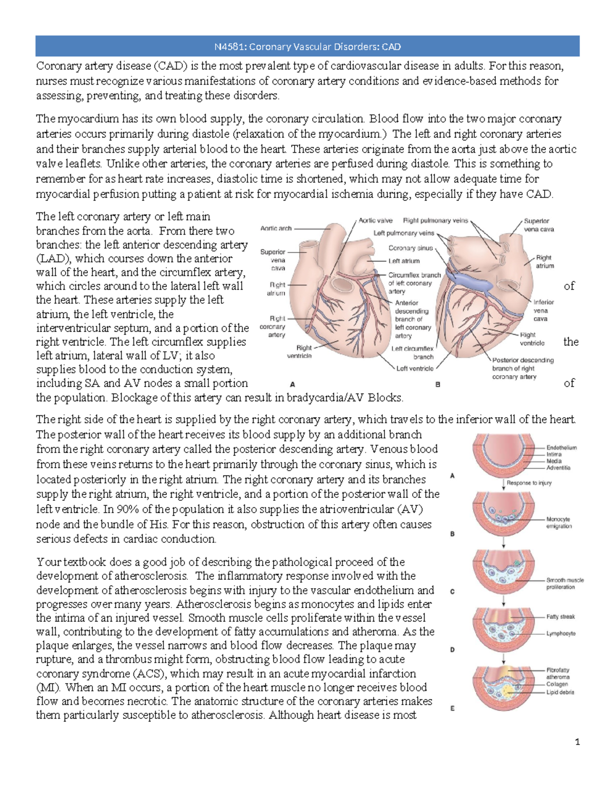 N4581: Coronary Vascular Disorders - Understanding CAD & Treatment ...