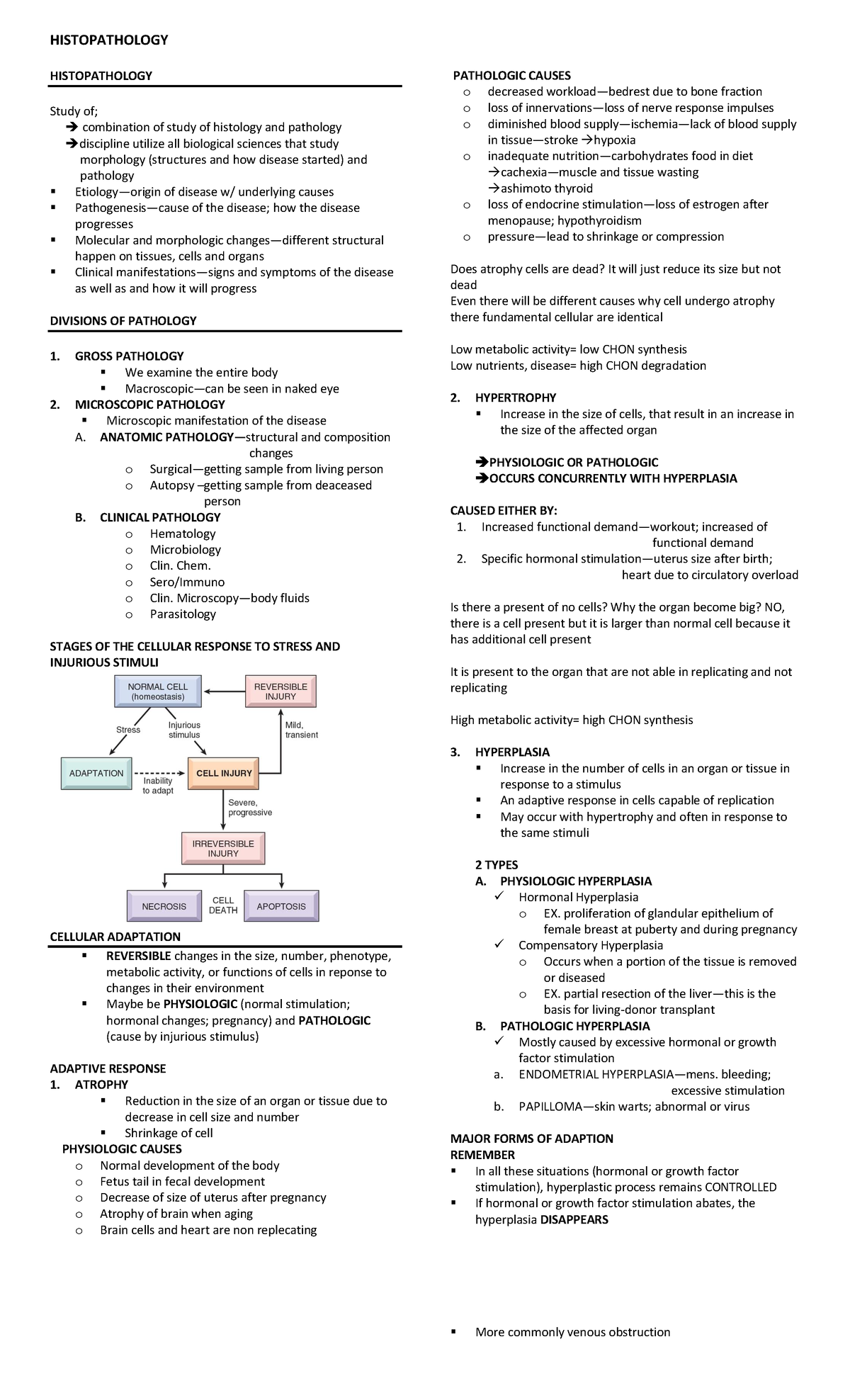 01. Histopathology Complete Study Guide and Key Concepts - Studocu
