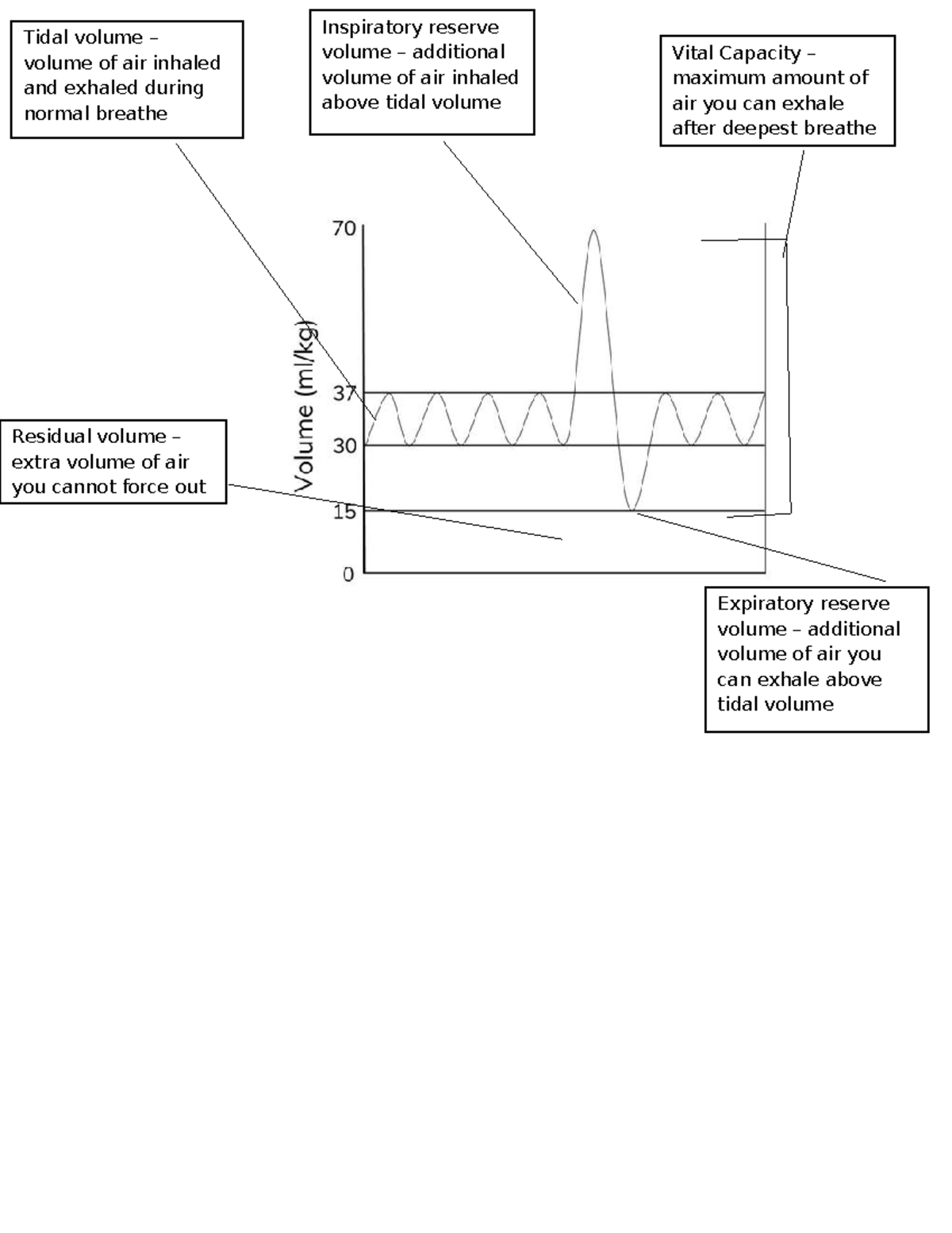 Med science spirometer - Tidal volume – volume of air inhaled and ...