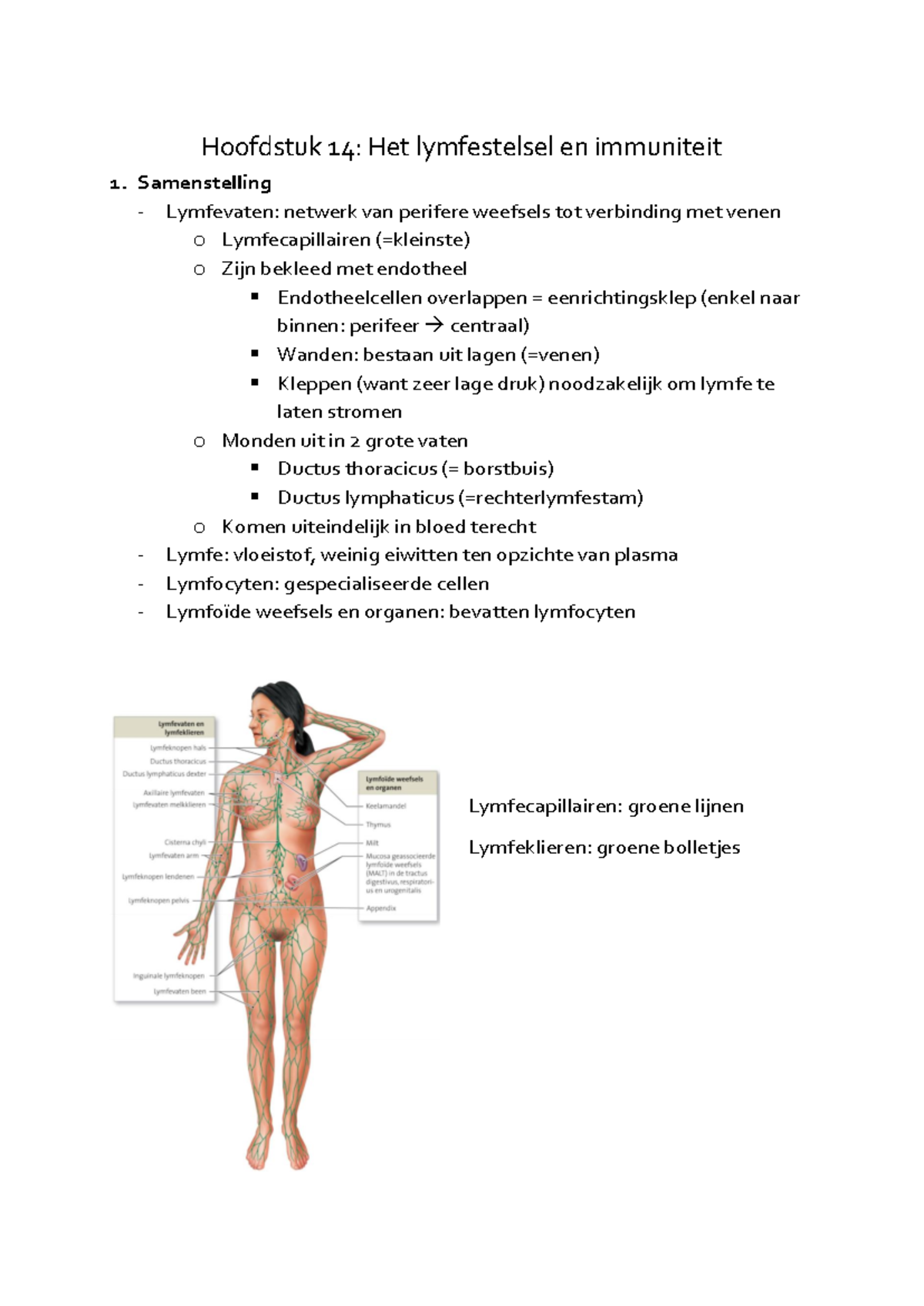 Samenvatting h14 lymfesysteem en immuun - Hoofdstuk 14: Het ...